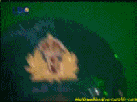 Rahhh GIFs - Get the best gif on GIFER