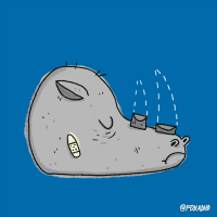Rhino GIFs - Get the best gif on GIFER