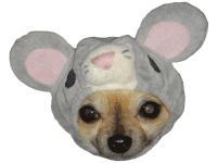 Geocities GIFs - Get the best gif on GIFER