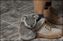 Clingy GIFs - Get the best gif on GIFER