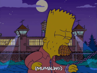 Pinecones GIFs - Get the best gif on GIFER