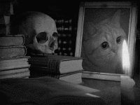 Misc GIFs - Get the best gif on GIFER