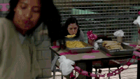 Buffets GIFs - Get the best gif on GIFER