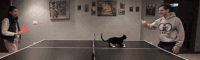 Oups GIFs - Obtenez le meilleur gif sur GIFER