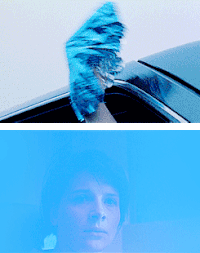 Windy GIFs - Get the best gif on GIFER