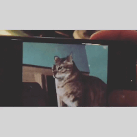 Esperando GIF - Conseguir el mejor gif en GIFER