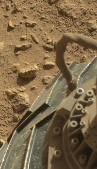 Curiosity GIFs - Get the best gif on GIFER