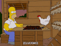 Cluck GIFs - Get the best gif on GIFER