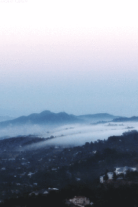 Fog GIFs - Get the best gif on GIFER