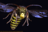 Africa GIFs - Get the best gif on GIFER