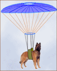 Parachute GIFs - Get the best gif on GIFER