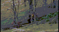 Atv GIFs - Get the best gif on GIFER