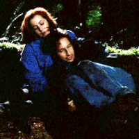 Detour GIFs - Get the best gif on GIFER