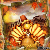 Turkeys GIFs - Get the best gif on GIFER
