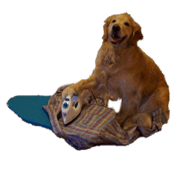 Ironing GIFs - Get the best gif on GIFER
