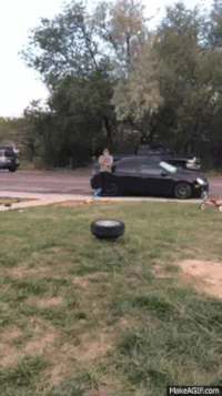 Smashed GIFs - Get the best gif on GIFER