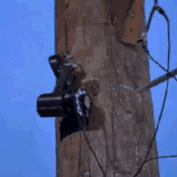 Telephone GIFs - Obtenez le meilleur gif sur GIFER