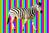 Psychology GIFs - Get the best gif on GIFER