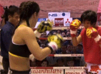 Kickboxing GIFs - Get the best gif on GIFER