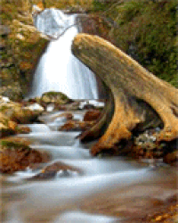 Lonesome GIFs - Get the best gif on GIFER