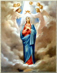 Mae GIFs - Get the best gif on GIFER