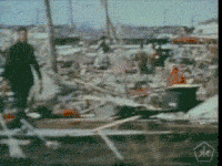 Documentaries GIFs - Get the best gif on GIFER