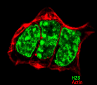 Stem GIFs - Get the best gif on GIFER