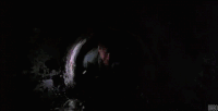 Crawling GIFs - Get the best gif on GIFER