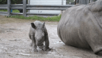 Barnorama GIFs - Get the best gif on GIFER