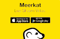 Suricate GIFs - Get the best gif on GIFER