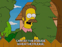 Flanders GIFs - Get the best gif on GIFER