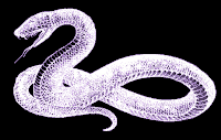 Serpents GIFs - Get the best gif on GIFER