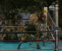 Tyson GIFs - Get the best gif on GIFER