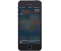 Features GIFs - Get the best gif on GIFER