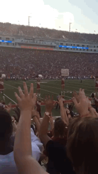 Hog call GIFs - Obtenez le meilleur gif sur GIFER