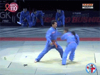 Kungfu GIFs - Get the best gif on GIFER