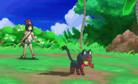 Litten GIFs - Get the best gif on GIFER