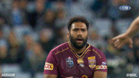 Nrl GIFs - Get the best gif on GIFER