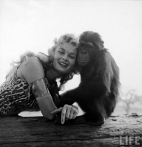 Inventor GIFs - Get the best gif on GIFER