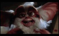 Gremlin GIFs - Get the best gif on GIFER