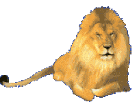 Lion GIFs - Get the best gif on GIFER