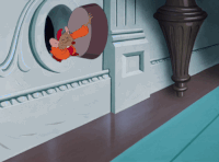 Weeeeeeeeeee GIFs - Get the best gif on GIFER