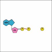 Atp GIFs - Get the best gif on GIFER