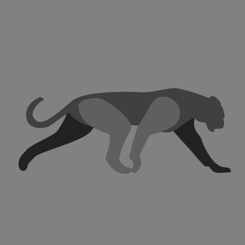 Pantera GIF - Conseguir o melhor gif em GIFER