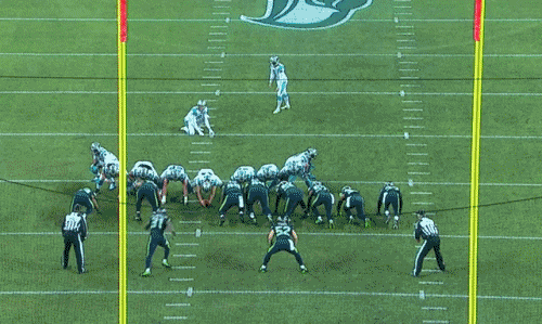 Seahawk GIFs - Get the best gif on GIFER