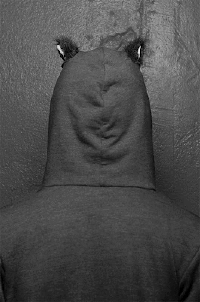 Cro GIF - Conseguir el mejor gif en GIFER