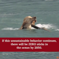 Palo GIFs - Get the best gif on GIFER