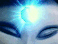 Ecology GIFs - Get the best gif on GIFER