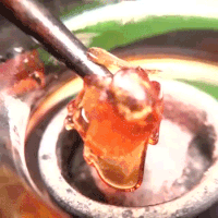 Deb GIFs - Get the best gif on GIFER