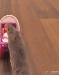 Strollers GIFs - Get the best gif on GIFER
